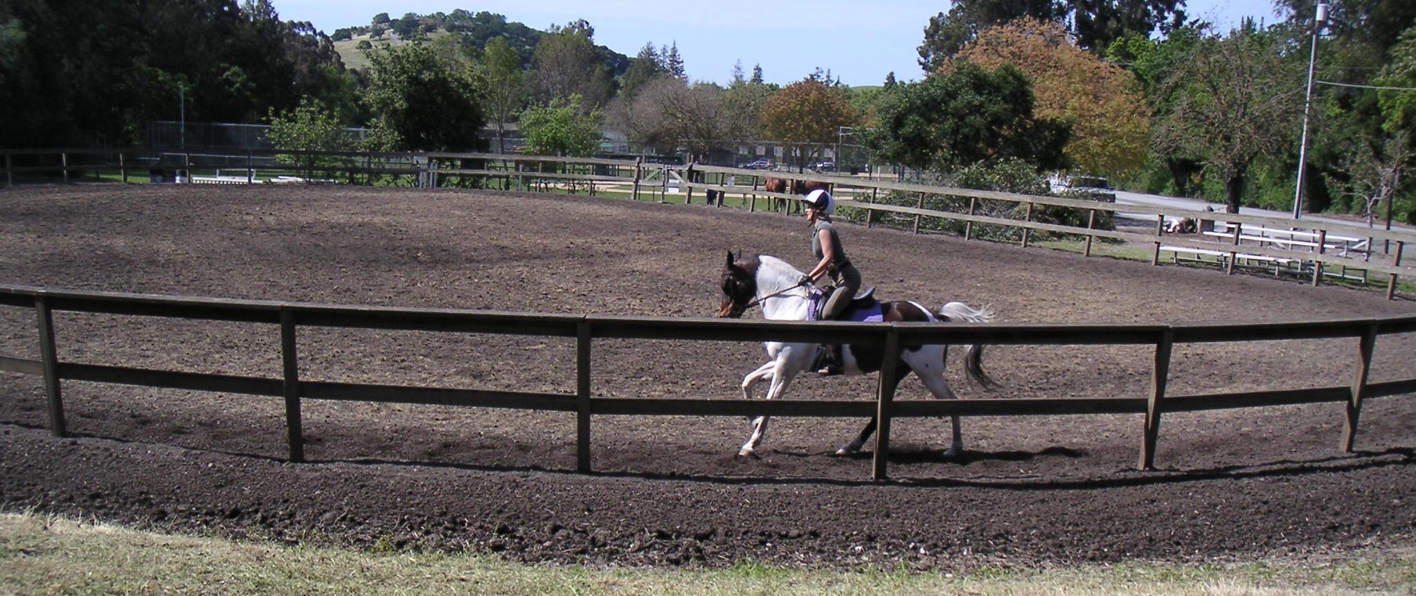 Town Arena | Los Altos Hills Horsemen's Association